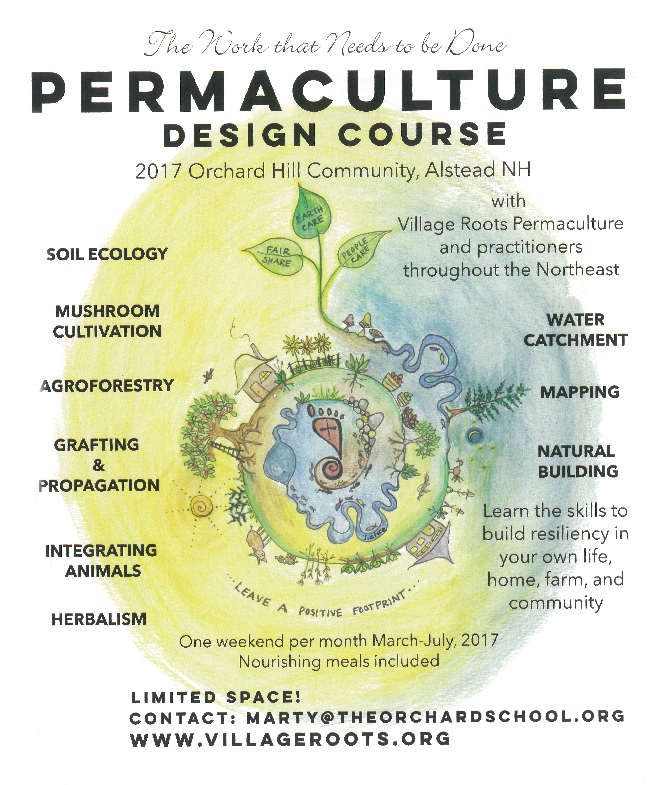 Orchard Permaculture Design Participate In Permaculture Design